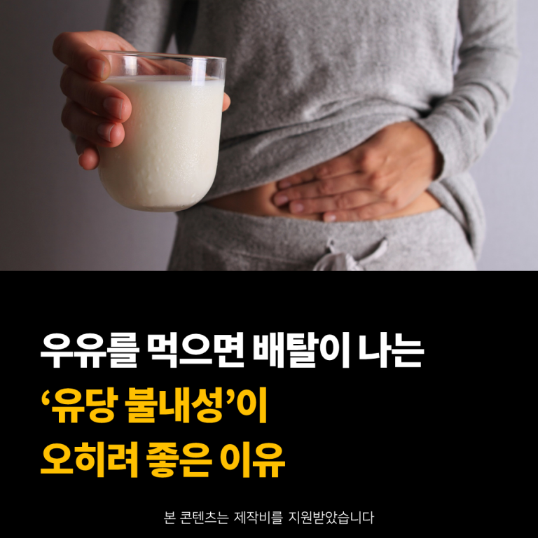 우유를 먹으면 배탈이 나는 ‘유당 불내성이 오히려 좋은 이유 체인지그라운드